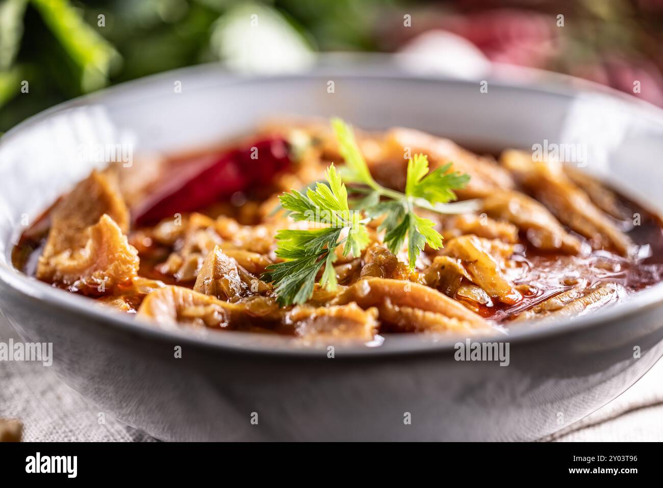 Tasty soup or stew made of beef tripe and spices. Spicy and aromatic ...