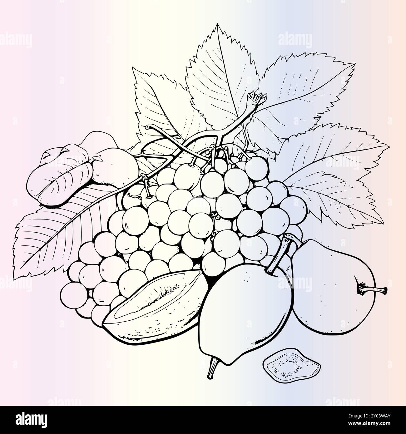 Fruit Ximenia Coloring Page For Kids Stock Vector Image & Art - Alamy