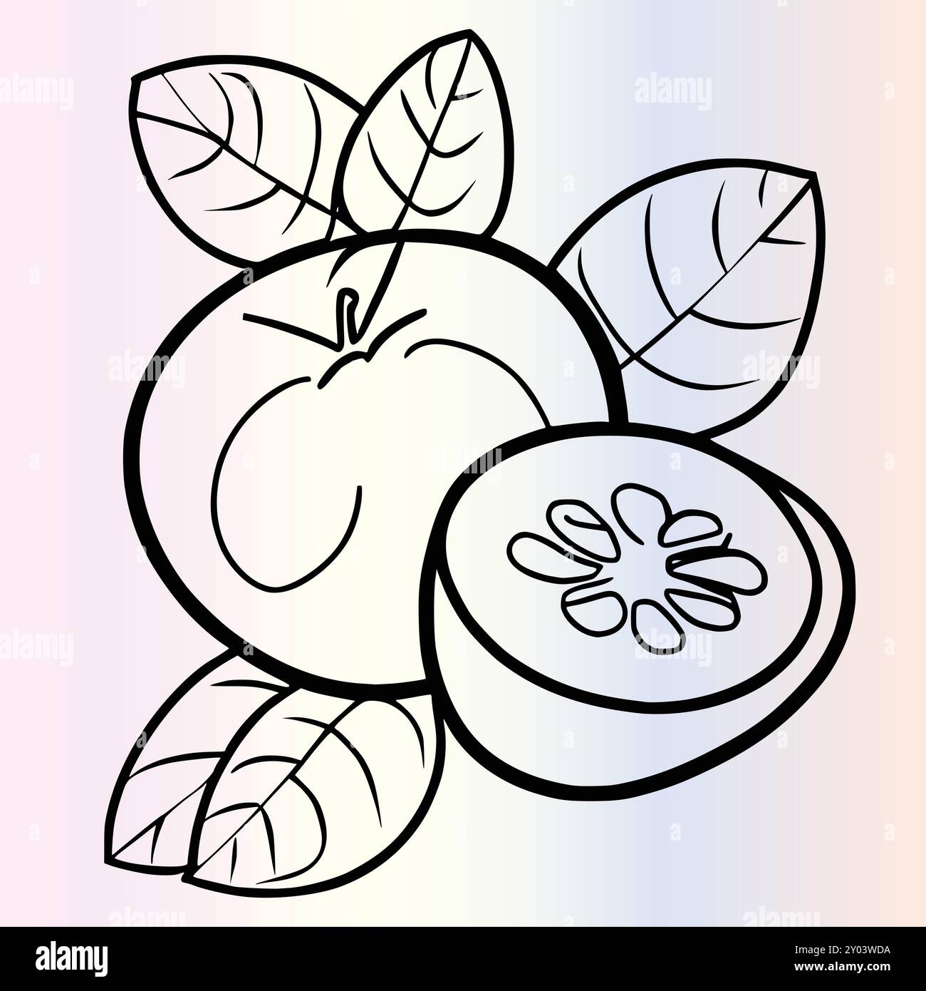 Fruit Ximenia Coloring Page For Kids Stock Vector Image & Art - Alamy