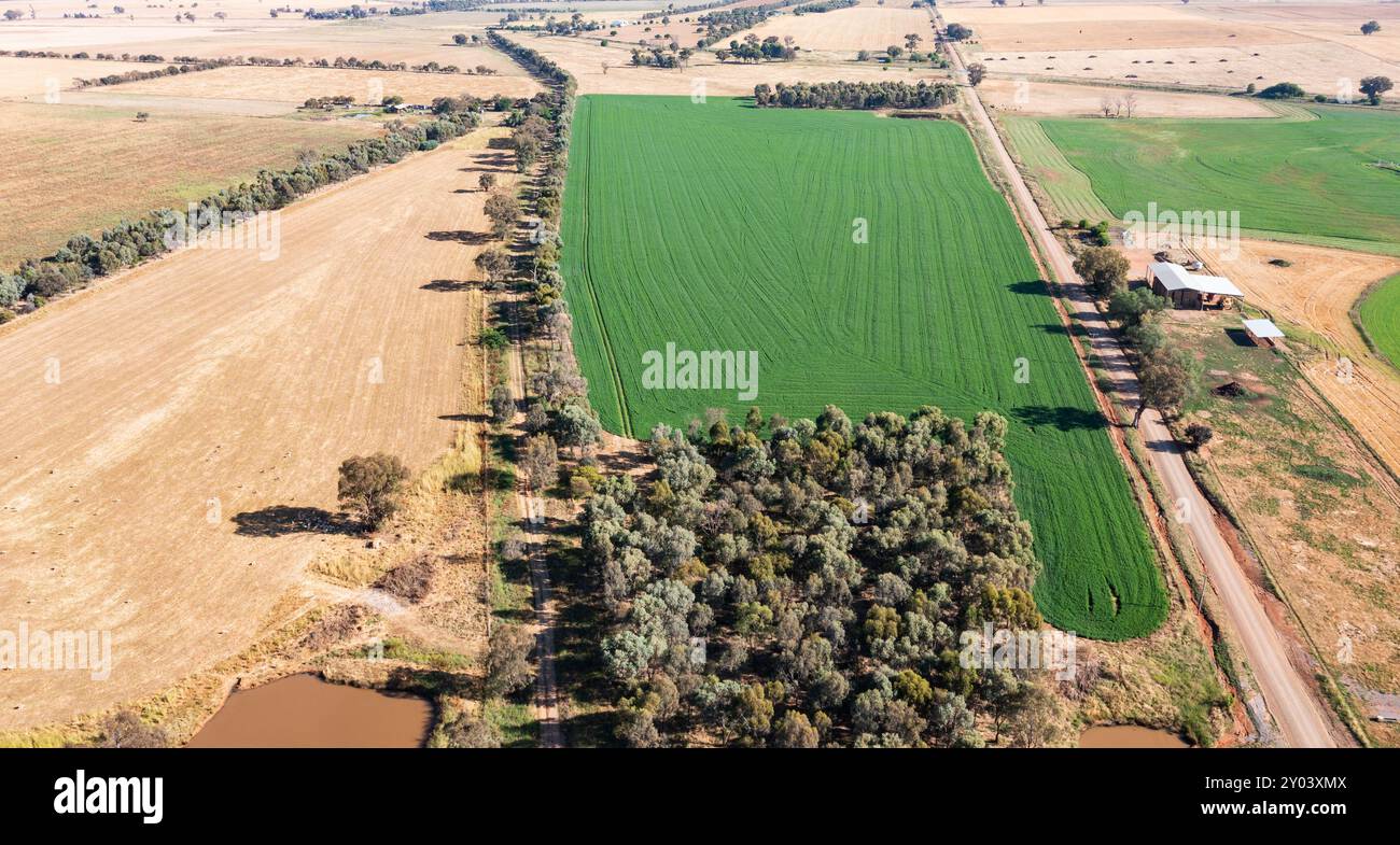 Aerial view of green field adjacent to harvested fields in Canowindra ...