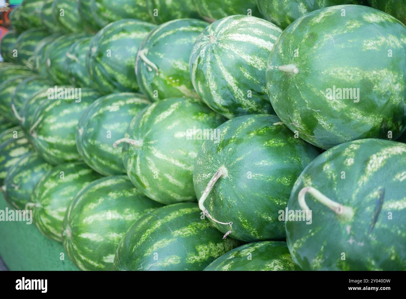 A pile of striped watermelons Stock Photo - Alamy