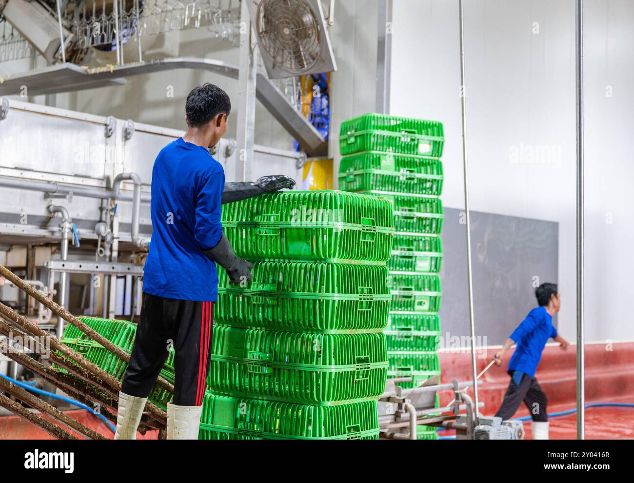 Workers arrange the chicken before putting it in after the chicken is ...