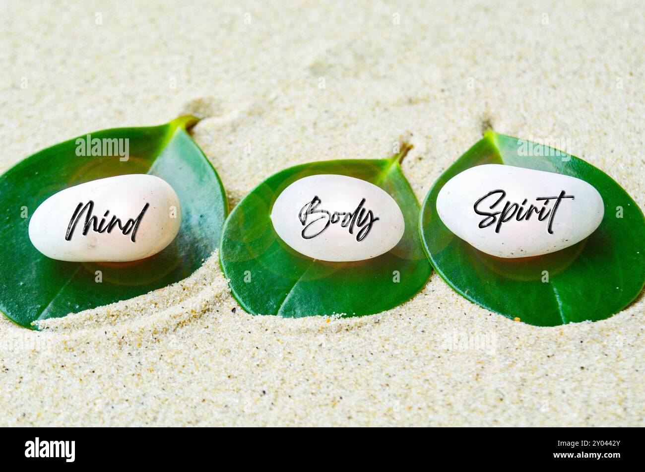 Mind, Body and Spirit text engraved on white zen stones with leaf and ...