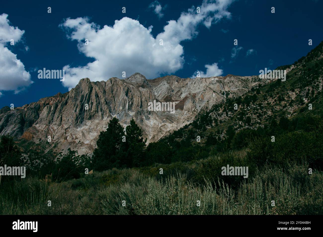 Convict lake alpine in hi-res stock photography and images - Alamy