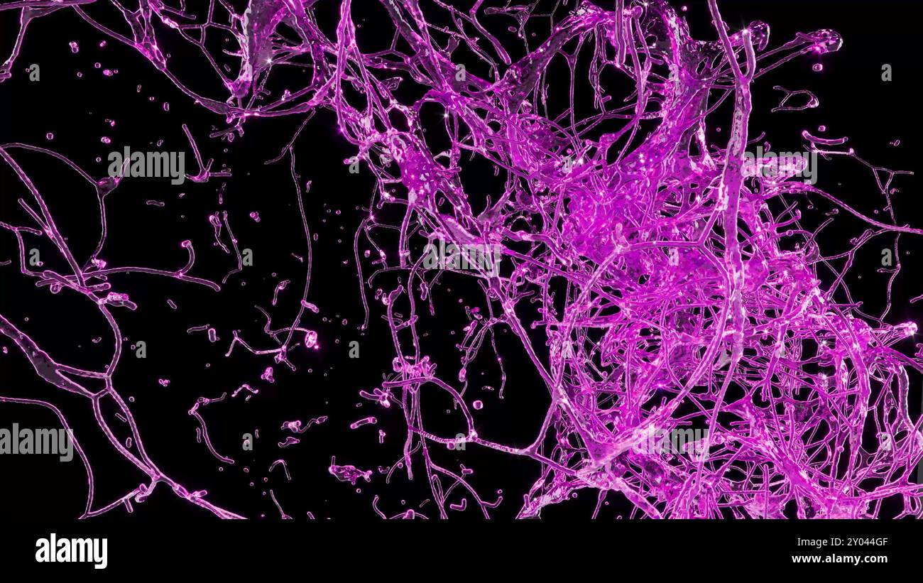 Pink purple splash on black bg 3d render Stock Photo - Alamy