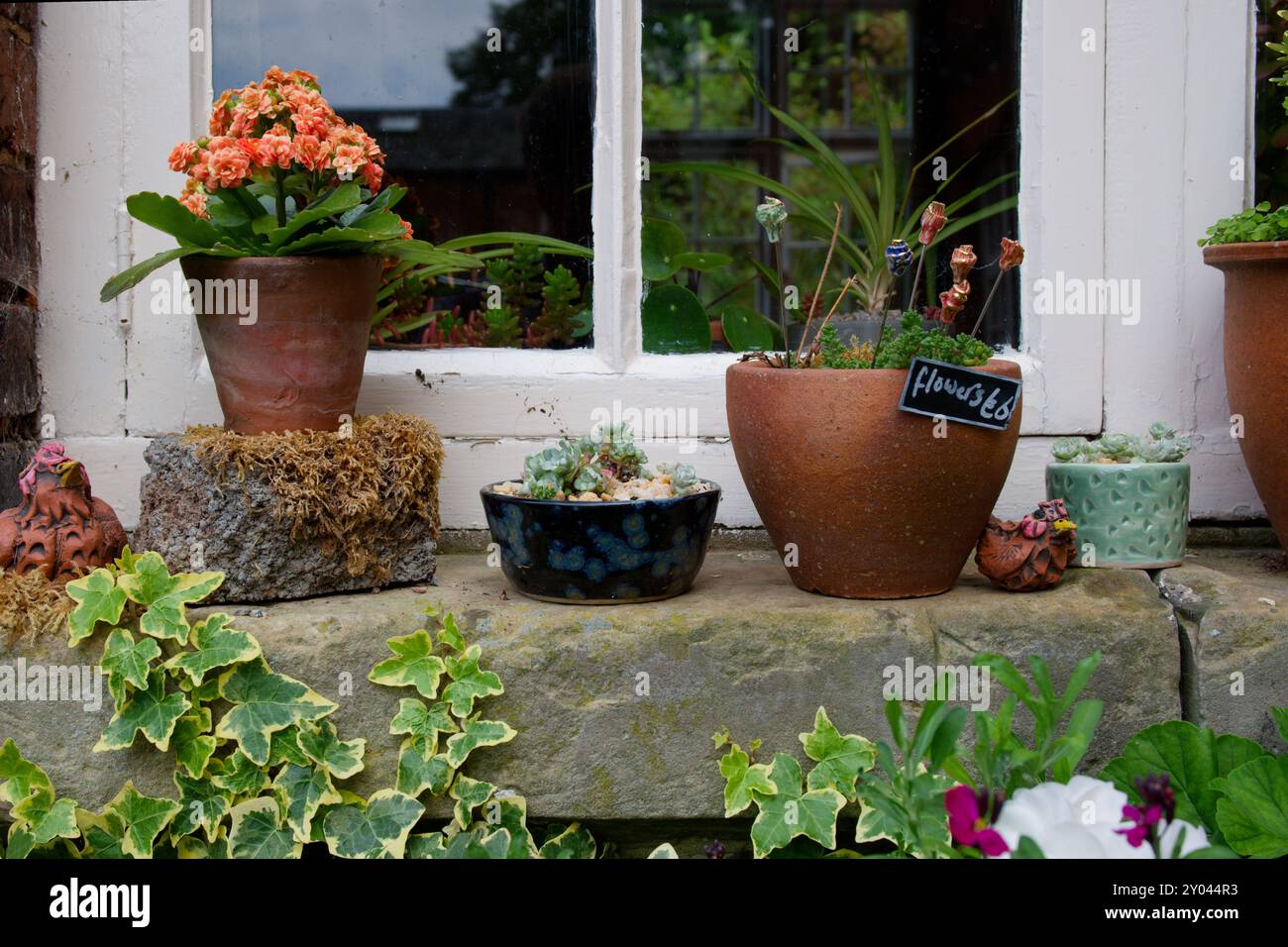 Unique plant pots on display Stock Photo - Alamy
