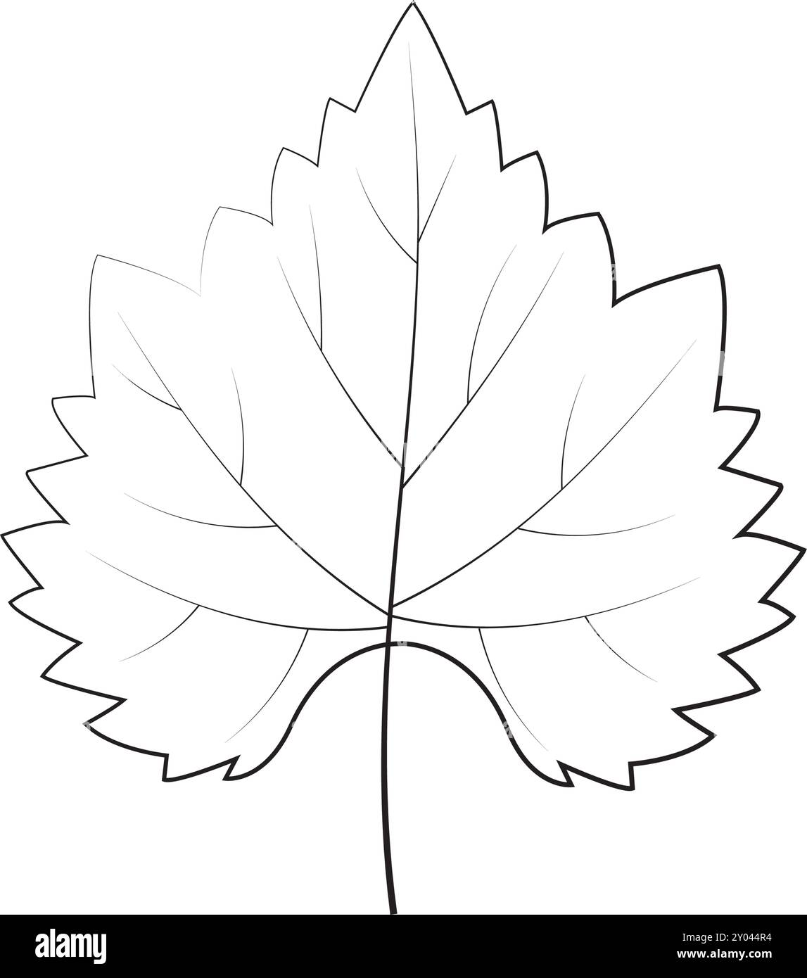 Grape leaf silhouette isolated vector art Stock Vector Image & Art - Alamy