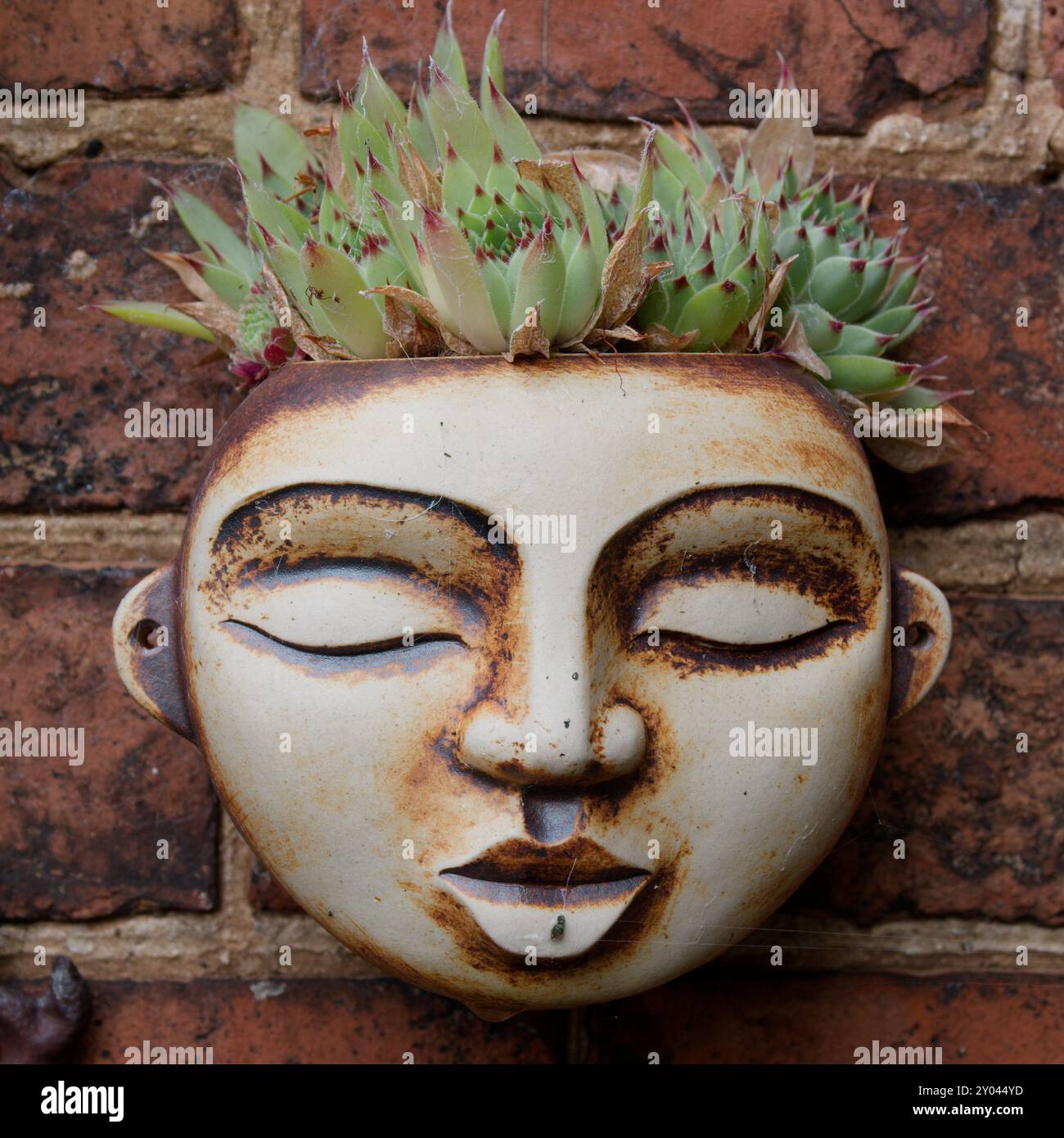Unique plant pots on display Stock Photo - Alamy