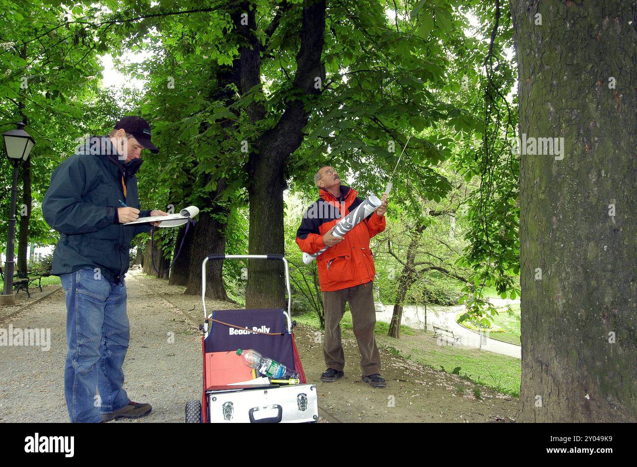 tree inspection for tree care,nursery of a garden tree inspection for ...