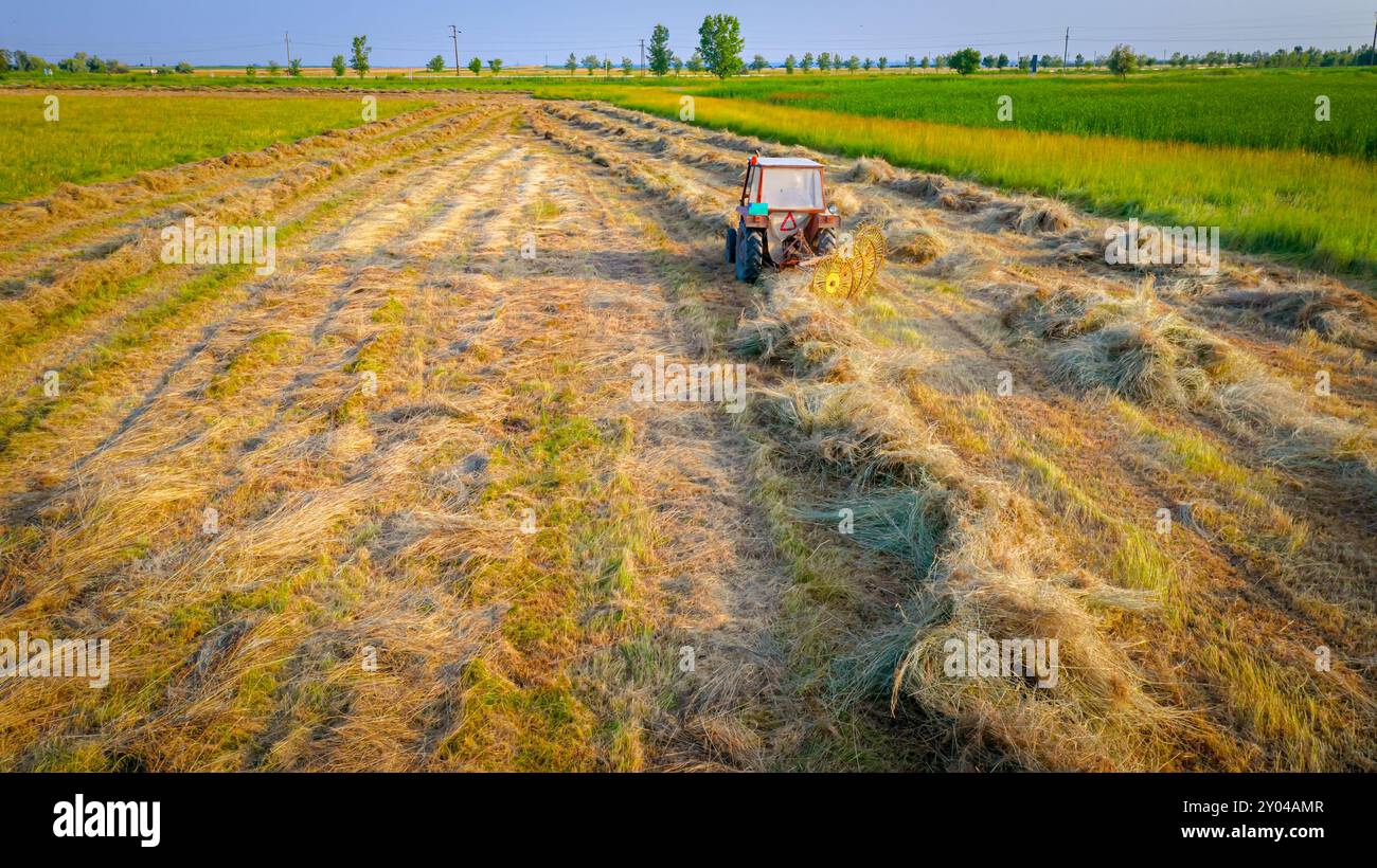 Tractor with attached mechanical rake is turning and gathering dry ...