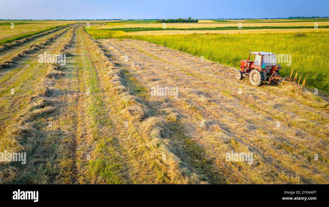 Tractor with attached mechanical rake is turning and gathering dry ...