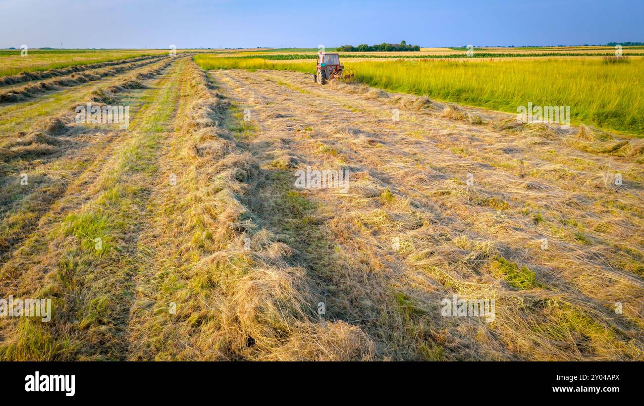 Tractor with attached mechanical rake is turning and gathering dry ...