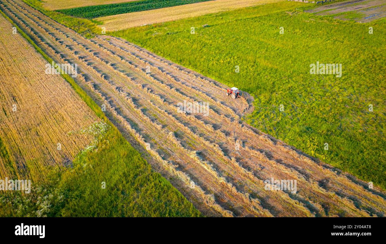 Tractor with attached mechanical rake is turning and gathering dry ...