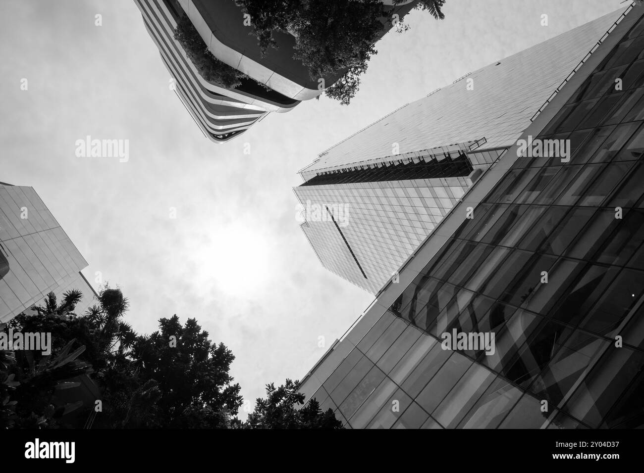 Lush facade Black and White Stock Photos & Images - Alamy