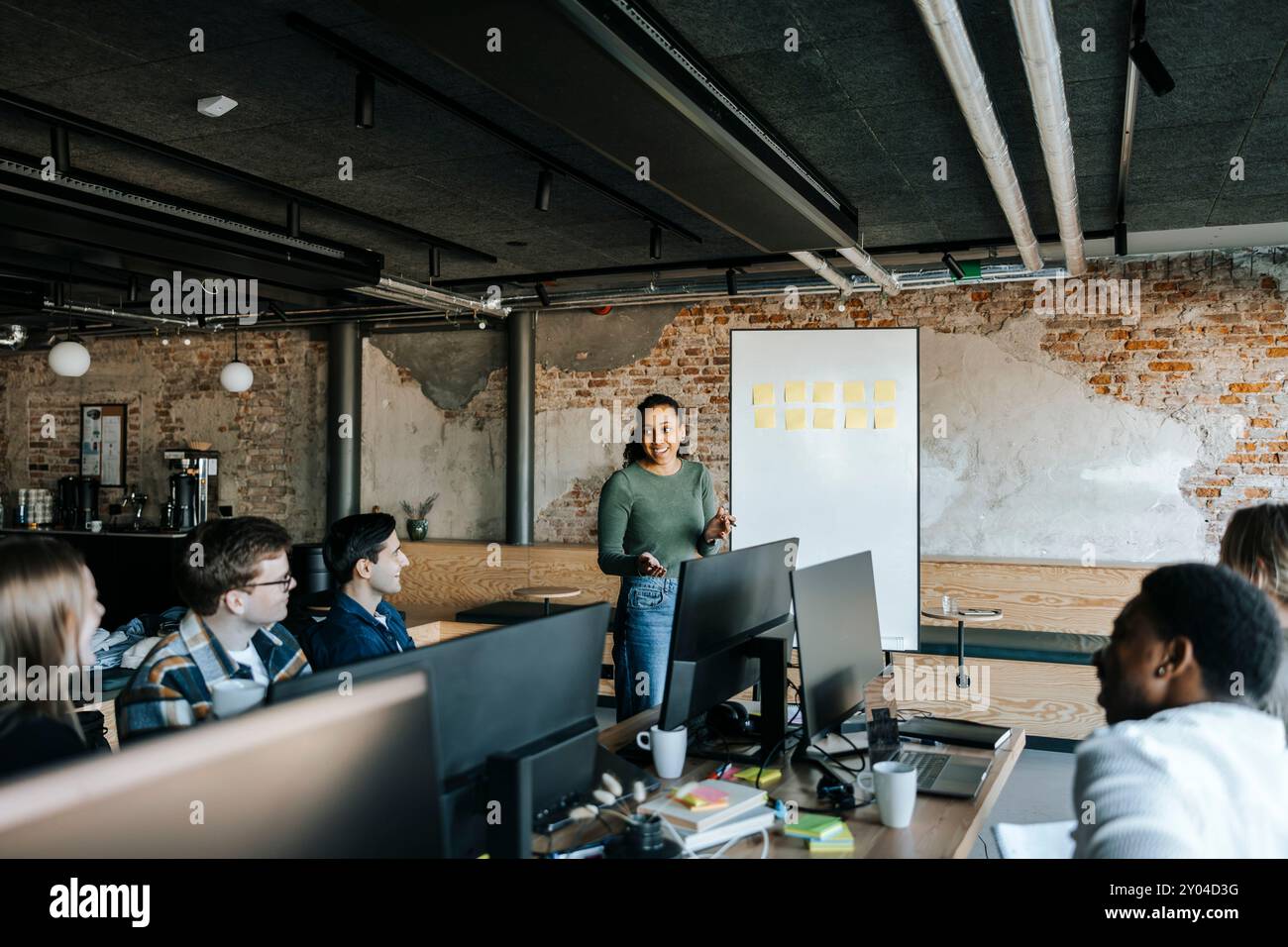 Female computer programmer explaining business strategies to colleagues ...