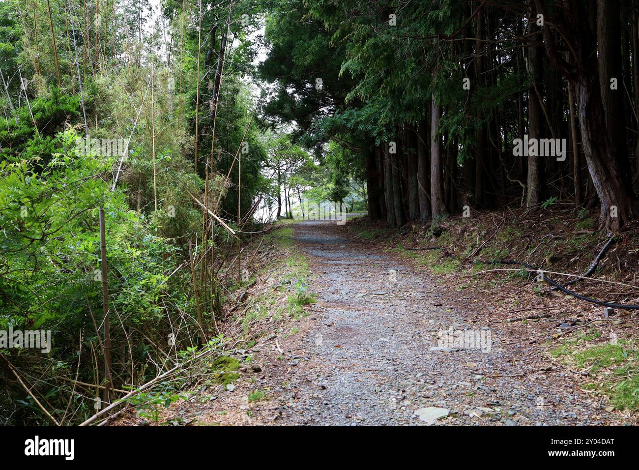 September 1, 2024. Ishinomaki, Miyagi Prefecture, Japan.The ...