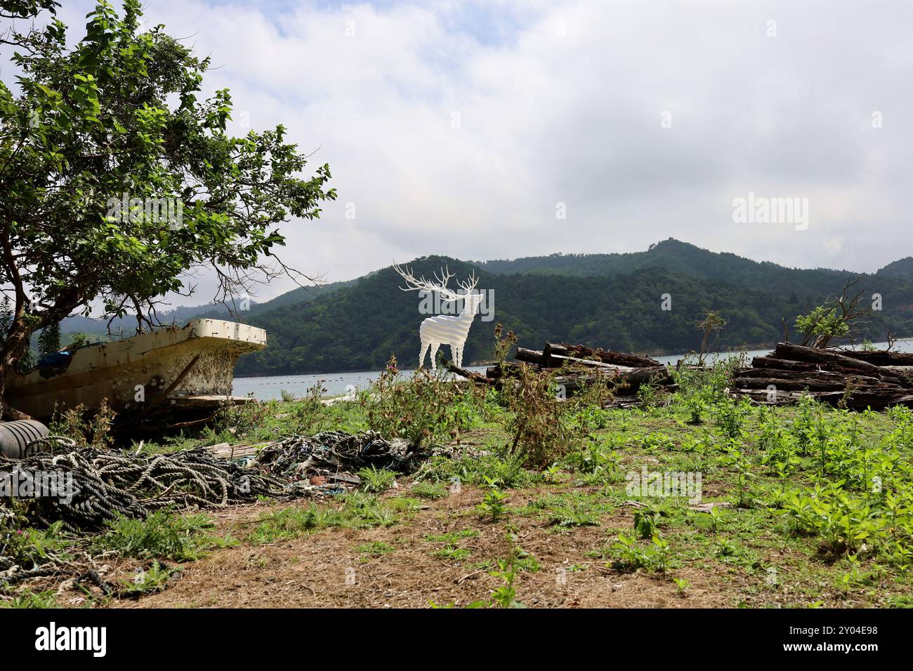 September 1, 2024. Ishinomaki, Miyagi Prefecture, Japan.The ...