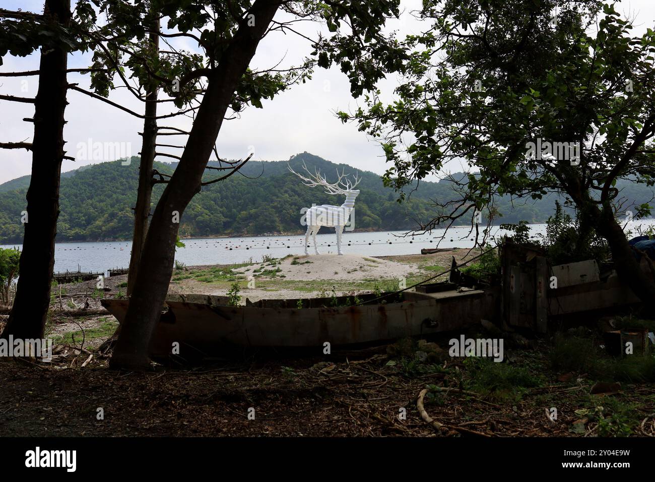 September 1, 2024. Ishinomaki, Miyagi Prefecture, Japan.The ...