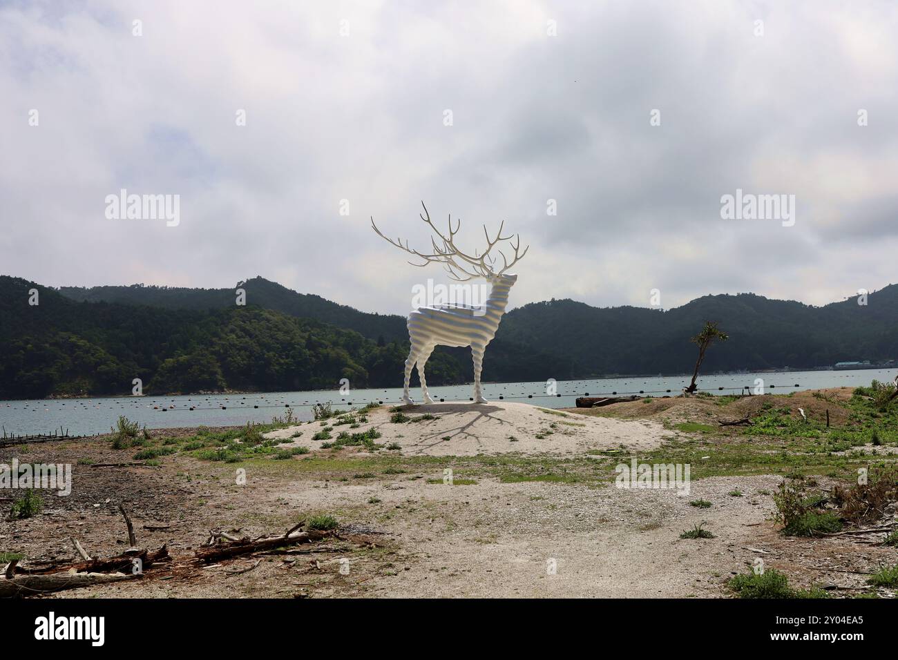 September 1, 2024. Ishinomaki, Miyagi Prefecture, Japan.The ...