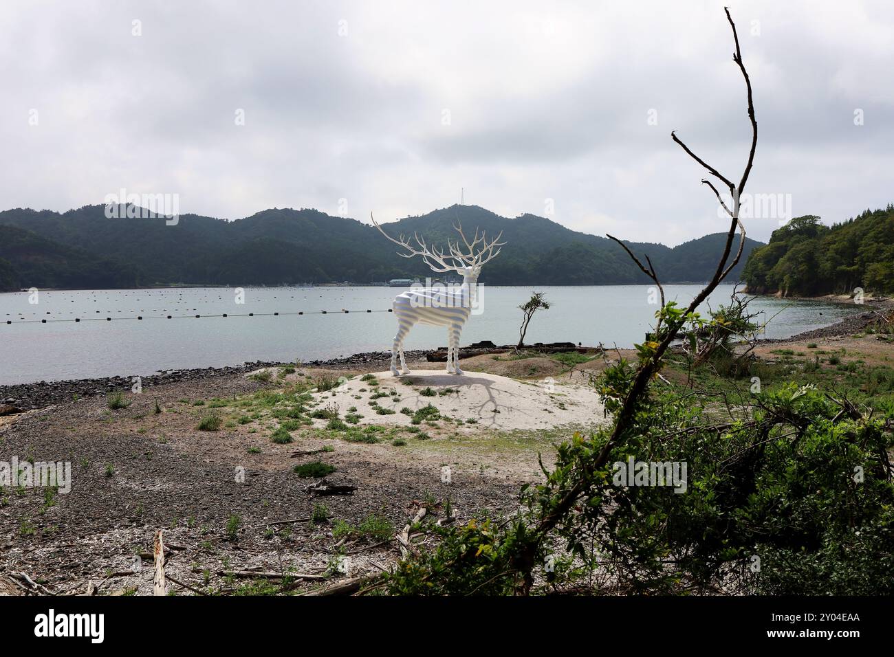 September 1, 2024. Ishinomaki, Miyagi Prefecture, Japan.The ...