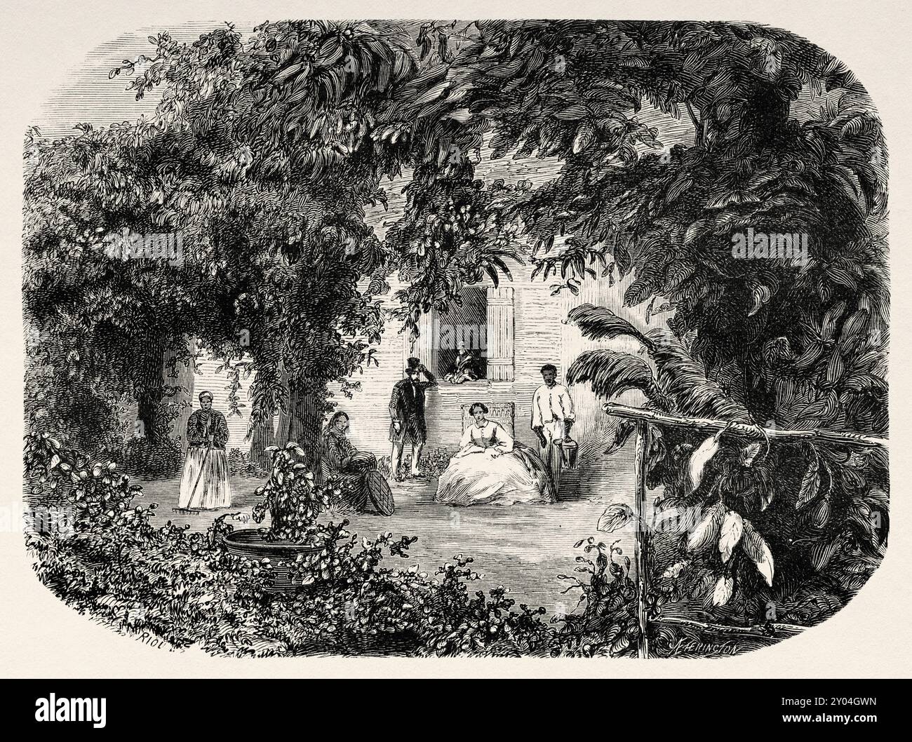 Creole family 19th century hi-res stock photography and images - Alamy