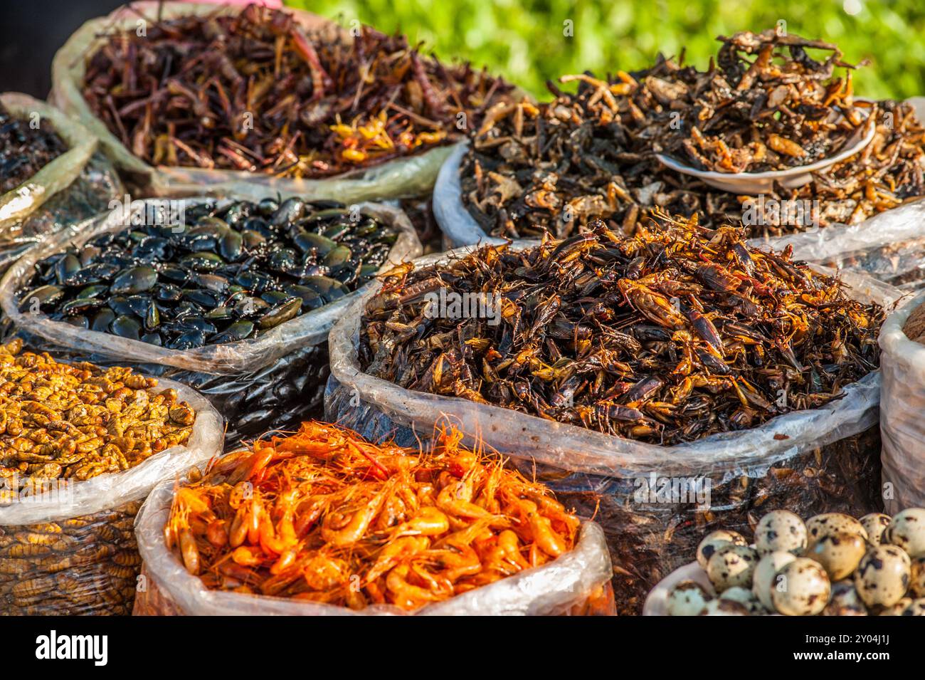 Insects traditional food market hi-res stock photography and images - Alamy