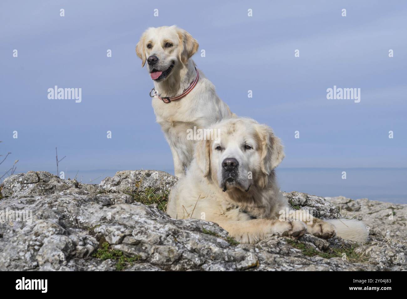 Viewing rock hi-res stock photography and images - Alamy