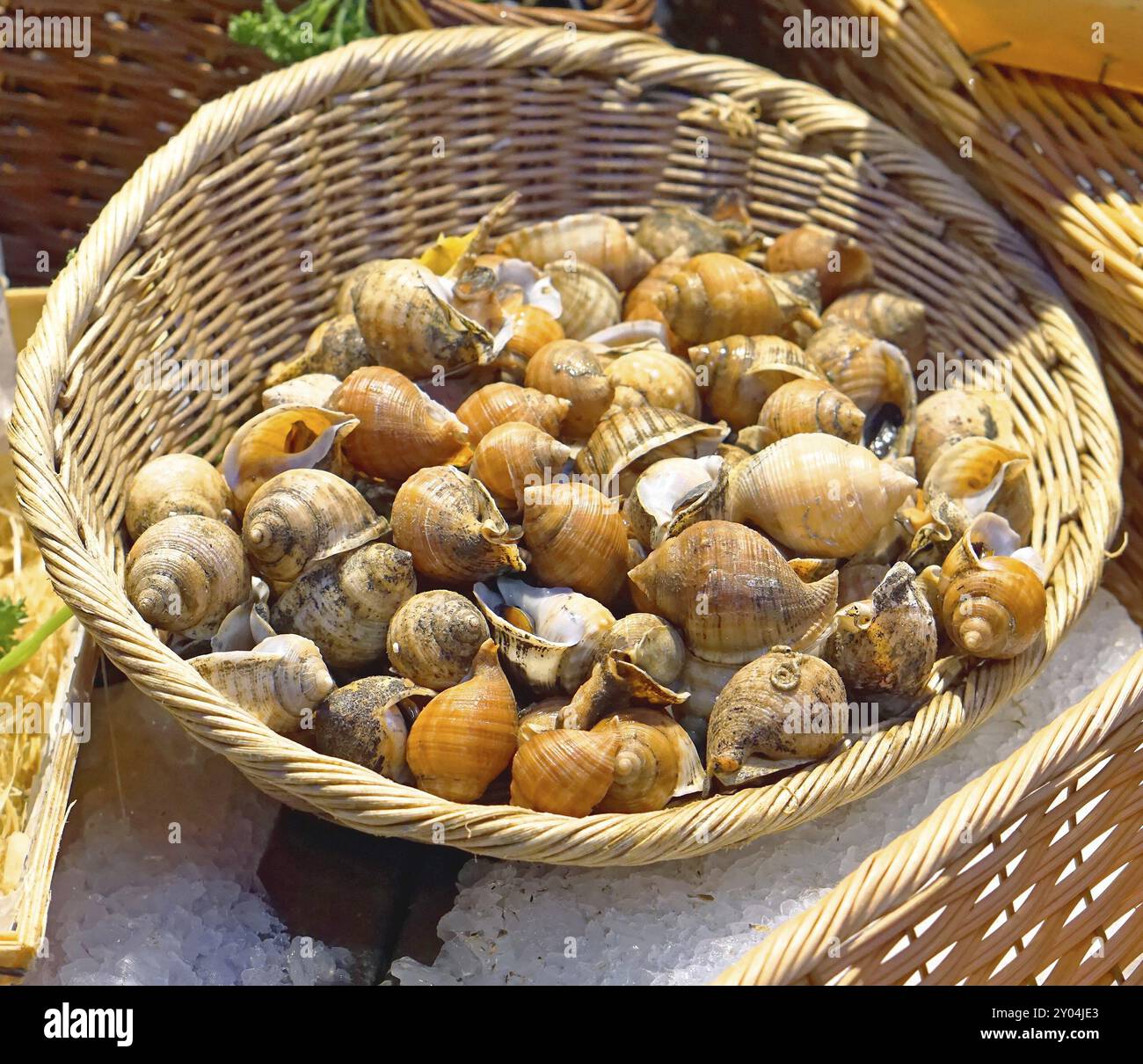 Edible snails in basket at french market Stock Photo - Alamy