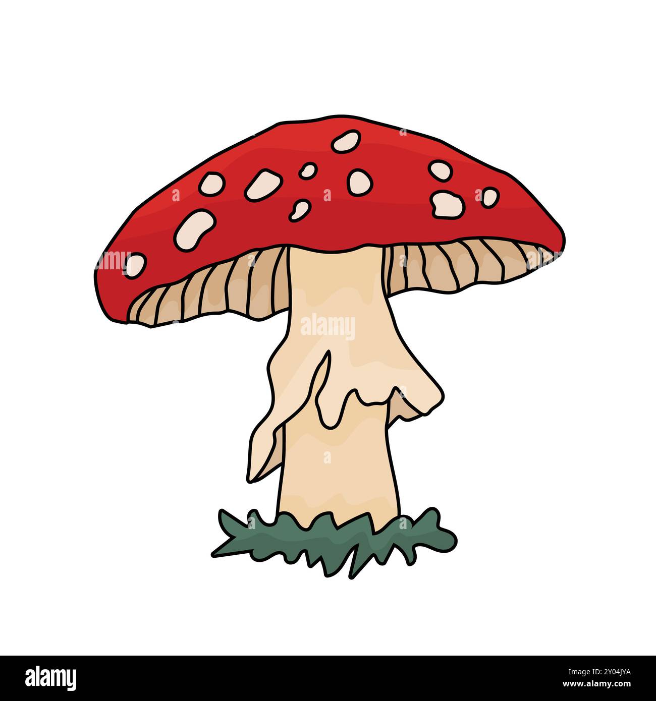 Hand drawn Amanita toadstool mushroom. Vector fly agaric isolated ...
