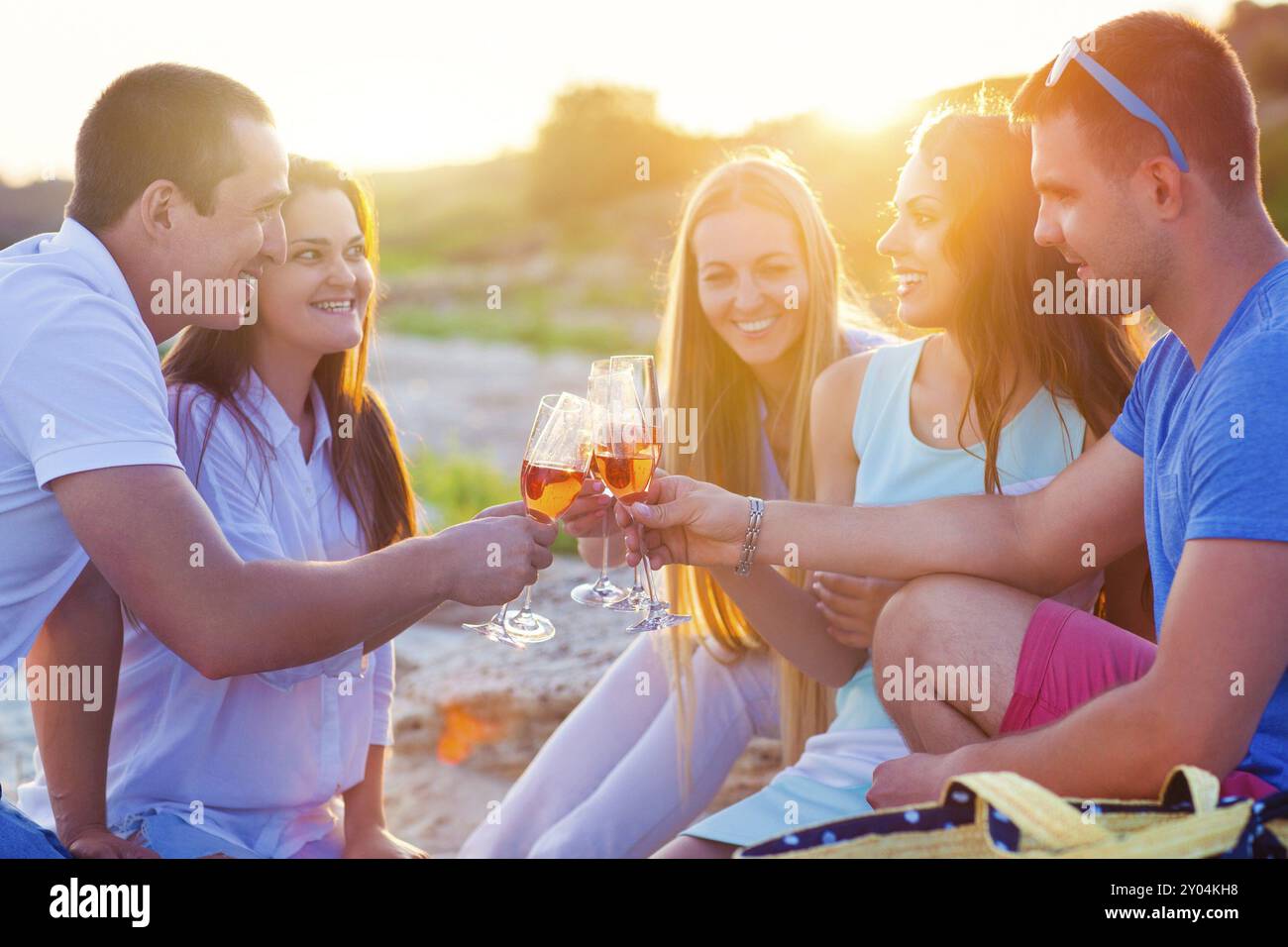 Group of friends toasting champagne sparkling wine at a relax party ...