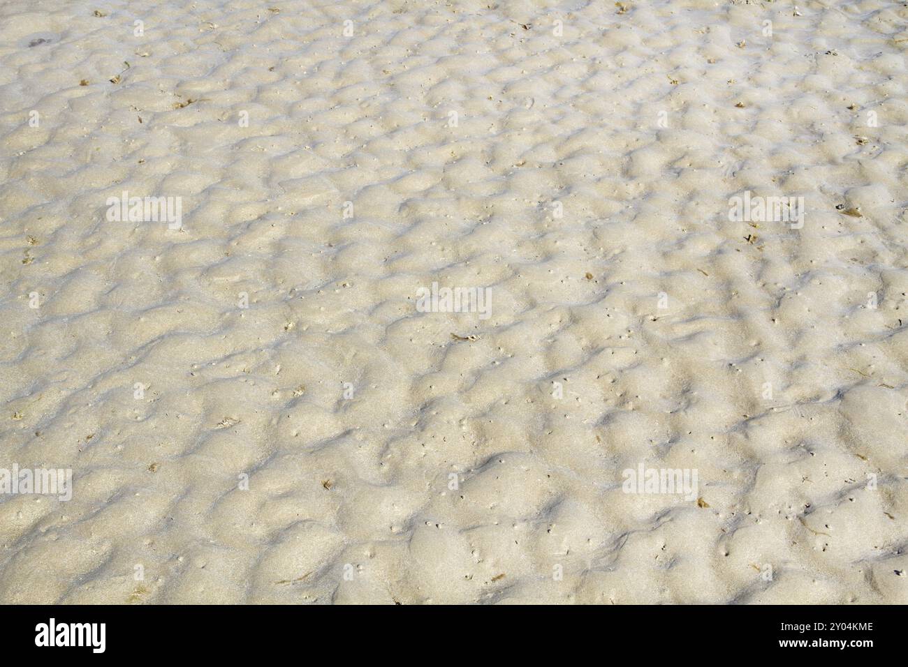 Back ground and textures hi-res stock photography and images - Alamy