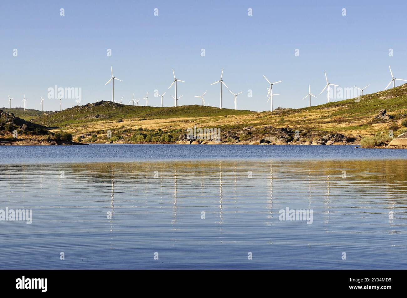 Wind mill, with several wind turbines, near a river, producing green ...