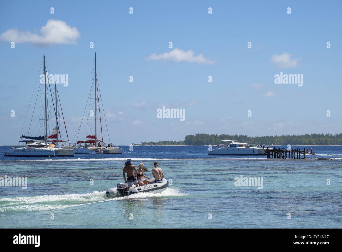 Tourists visiting bird island, private island, bird island, privileged ...