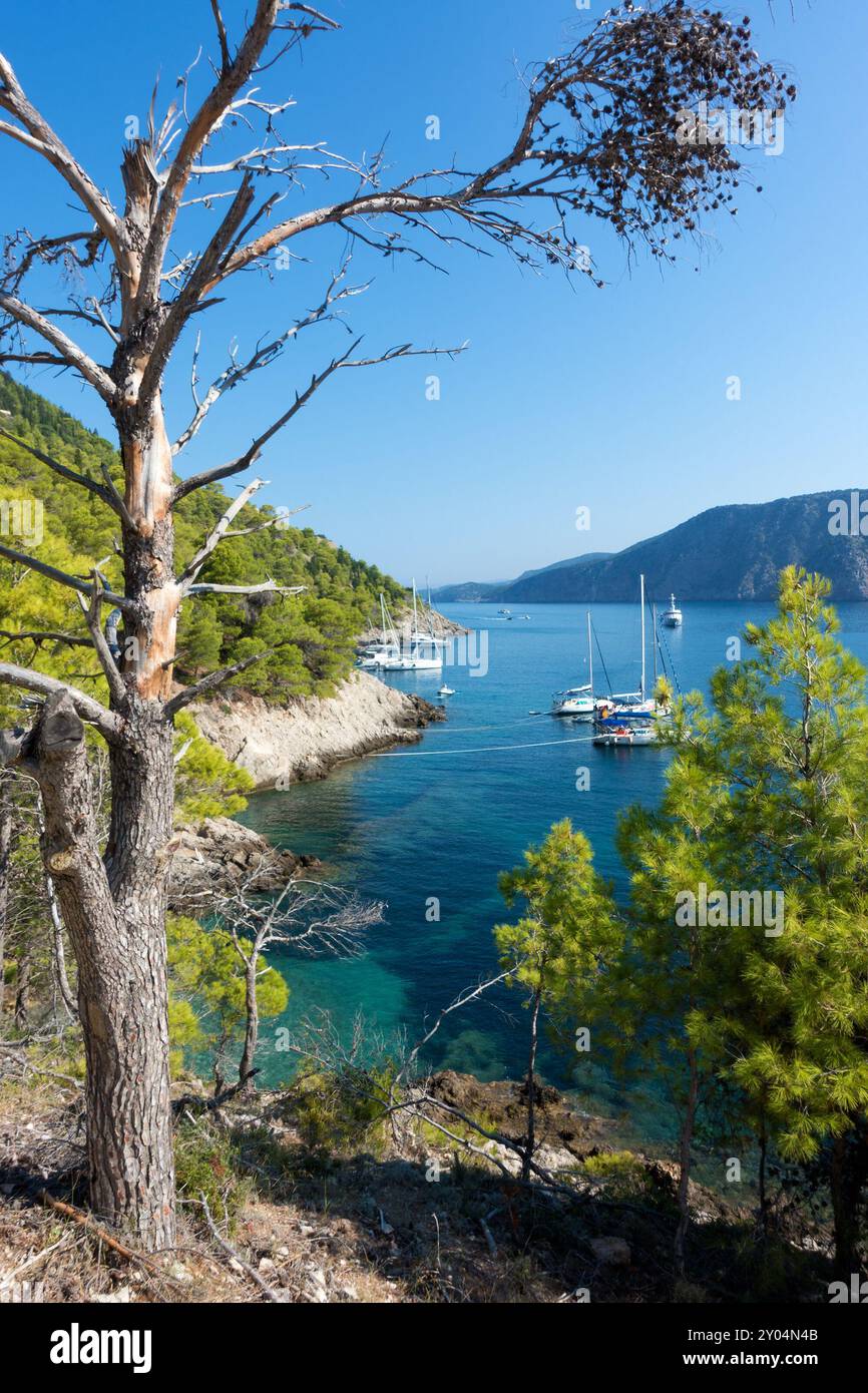 The beautiful coastline of Asos village, Kefalonia island, Greece Stock ...