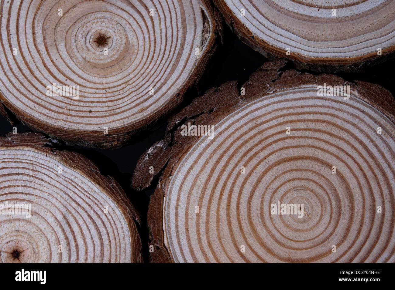 This close-up shot showcases a bunch of wood logs piled together ...