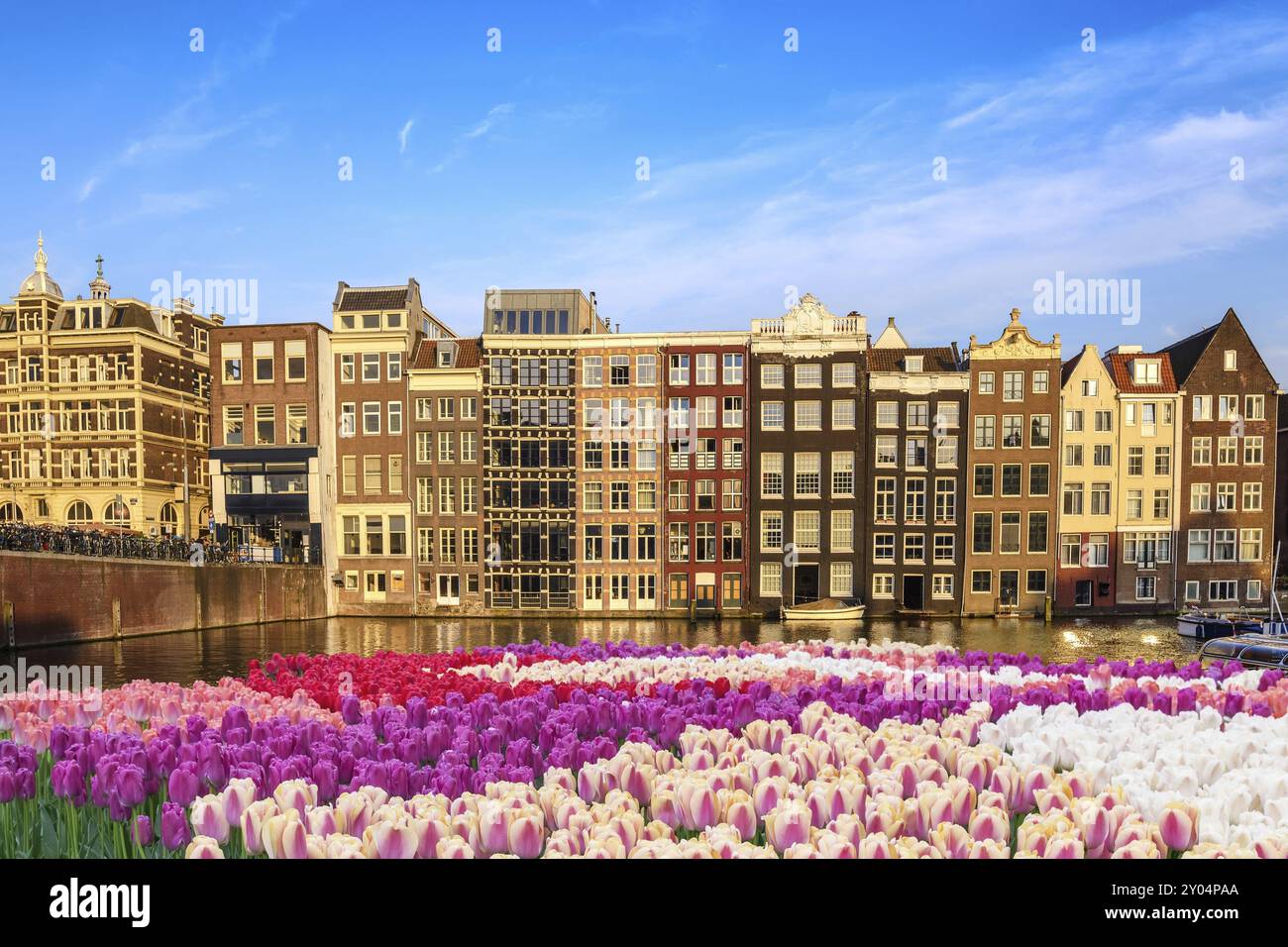 Amsterdam city skyline at canal waterfront with spring tulip flower ...