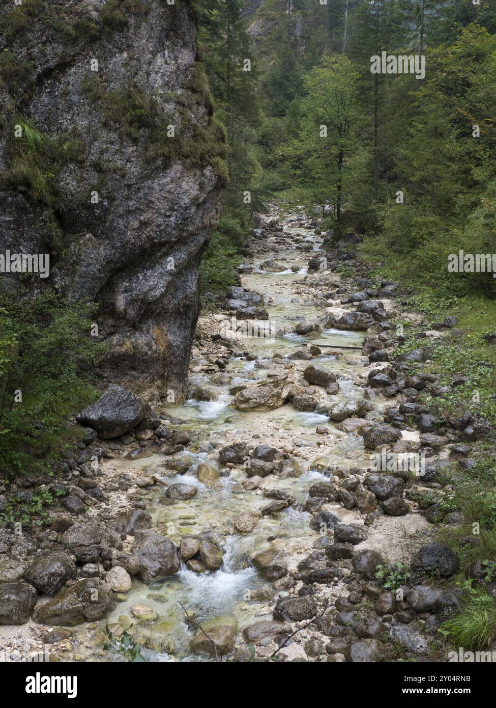 The Almbach stream flows through the Almbachklamm gorge in Bavaria ...