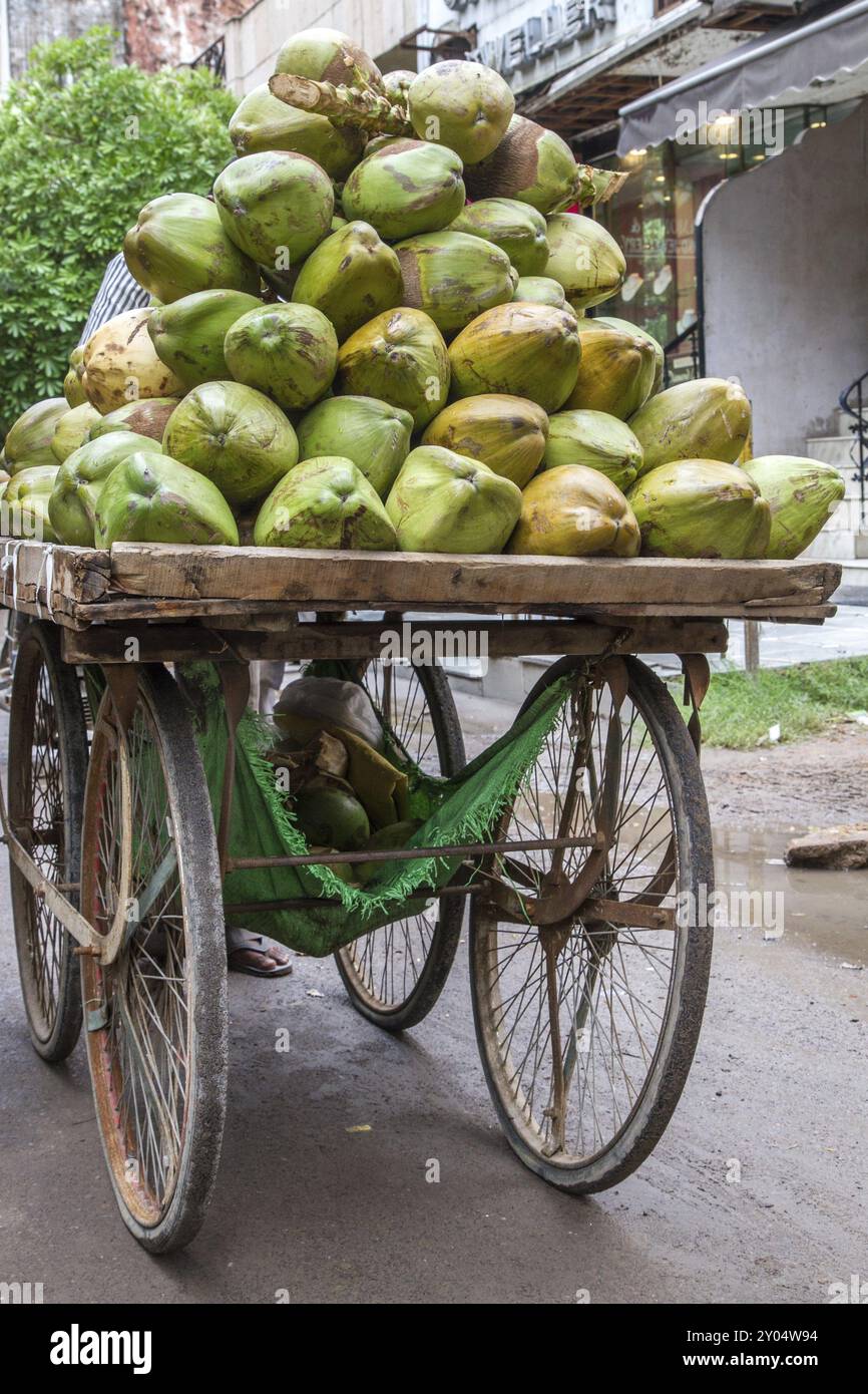 Stall selling coconuts with shells in India Stock Photo - Alamy