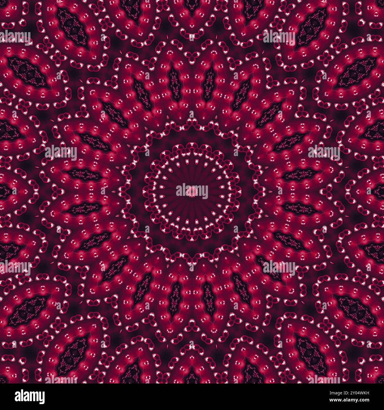 Radial symmetrical hi-res stock photography and images - Alamy