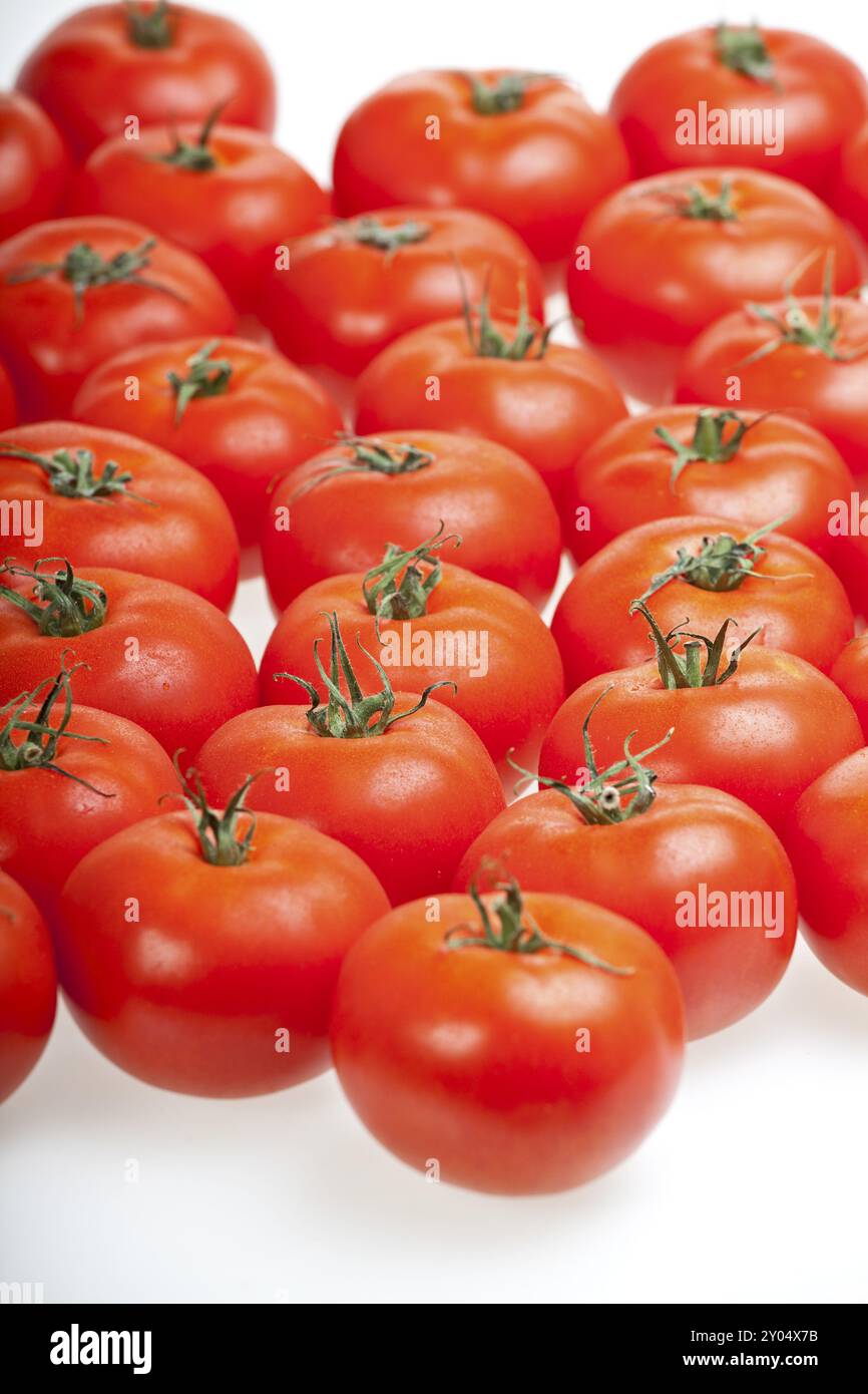 Lots of tomatoes isolated on white Stock Photo - Alamy