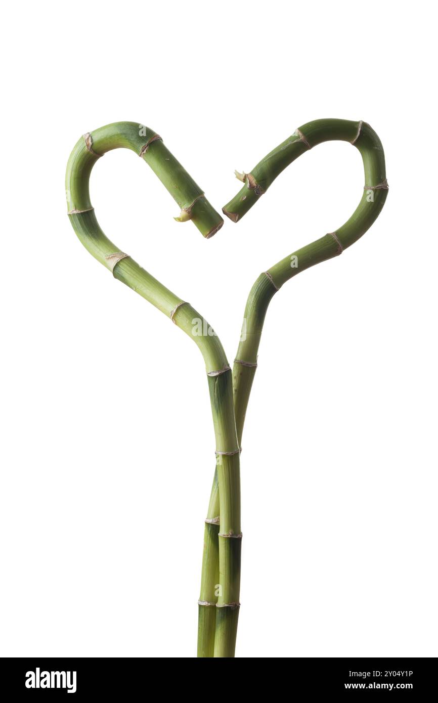Bamboo heart against a white background Stock Photo - Alamy