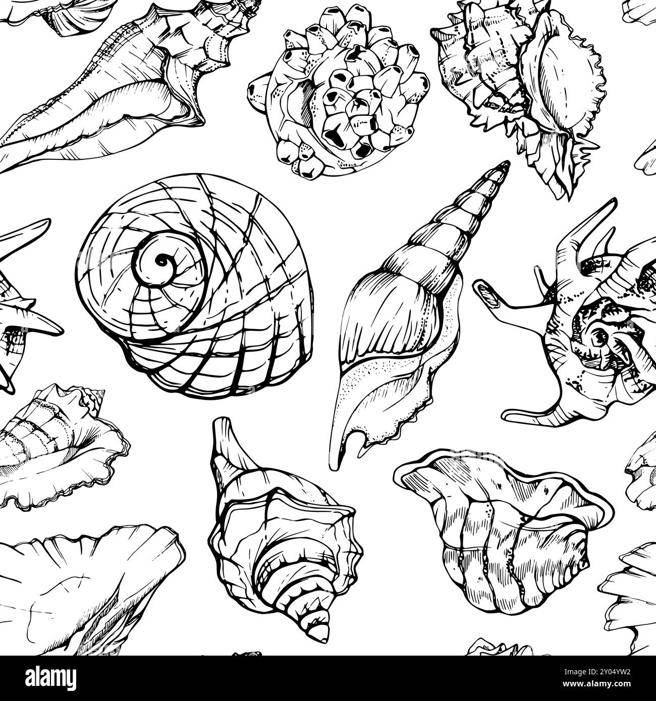 Marine life, sea ocean underwater creatures fish, shells algae seaweed ...