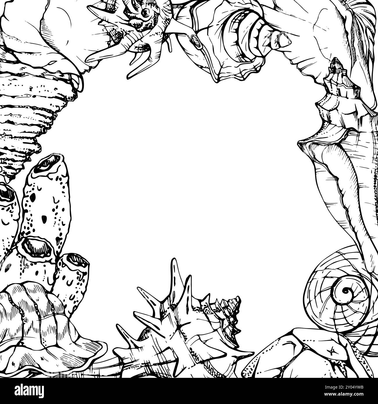 Marine life, sea ocean underwater creatures fish, shells algae seaweed ...