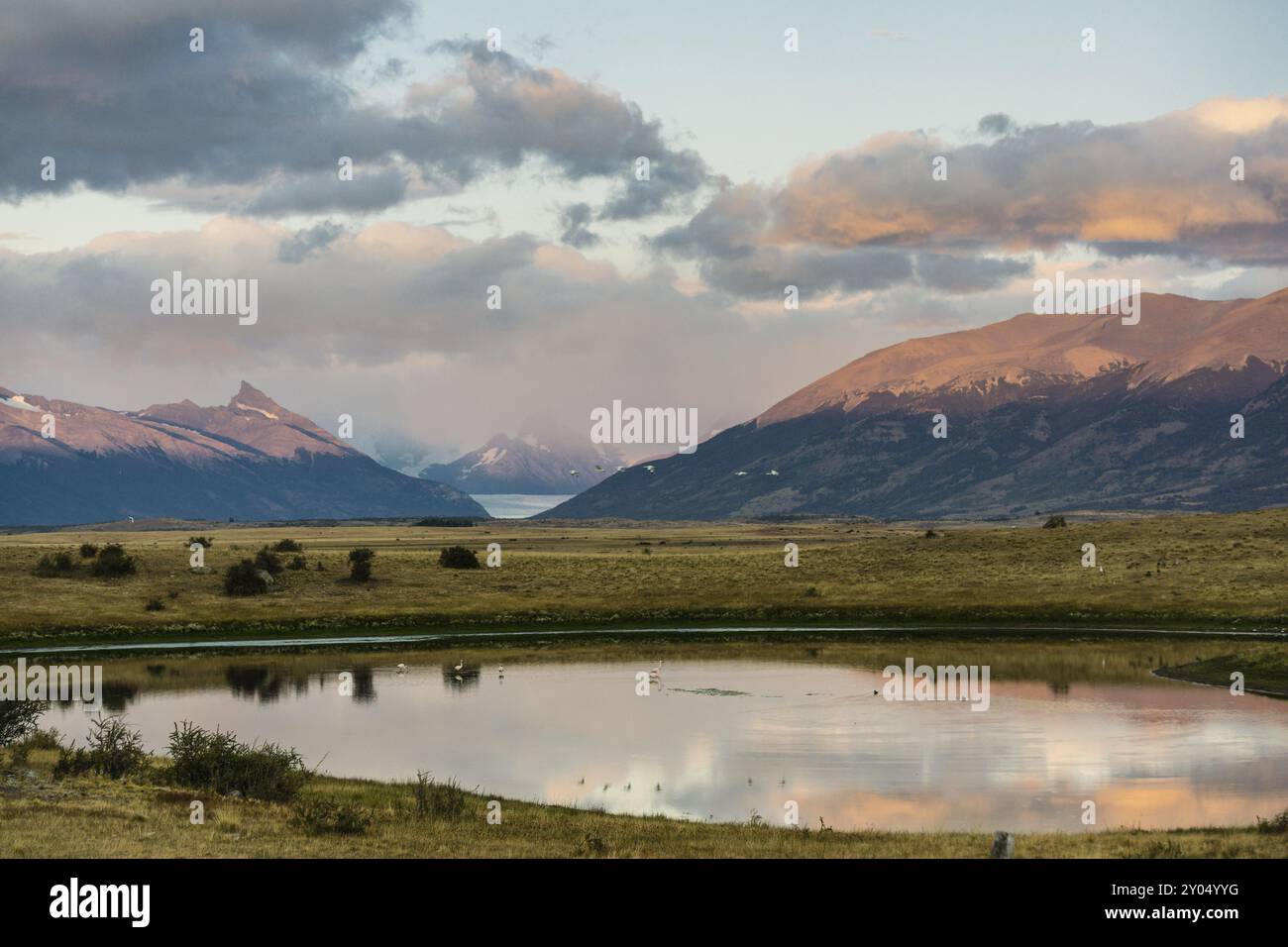 Pampas near Lake Roca, El Calafate, Los Glaciares National Park ...
