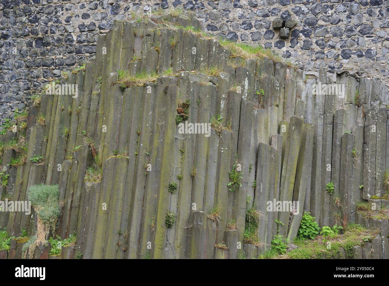 Basalt columns on the Stolpen Castle Basalt columns on the Stolpen ...