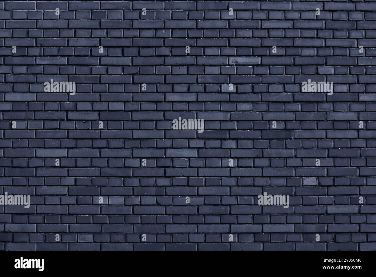 Sargasso sea color hi-res stock photography and images - Alamy