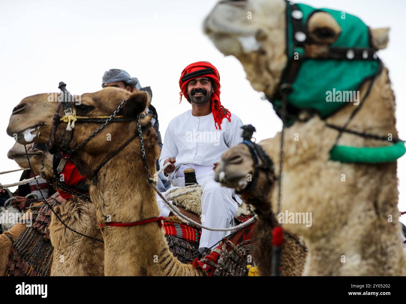 Gaza, Palestine. 18 March 2023. Palestinians ride camels among ...
