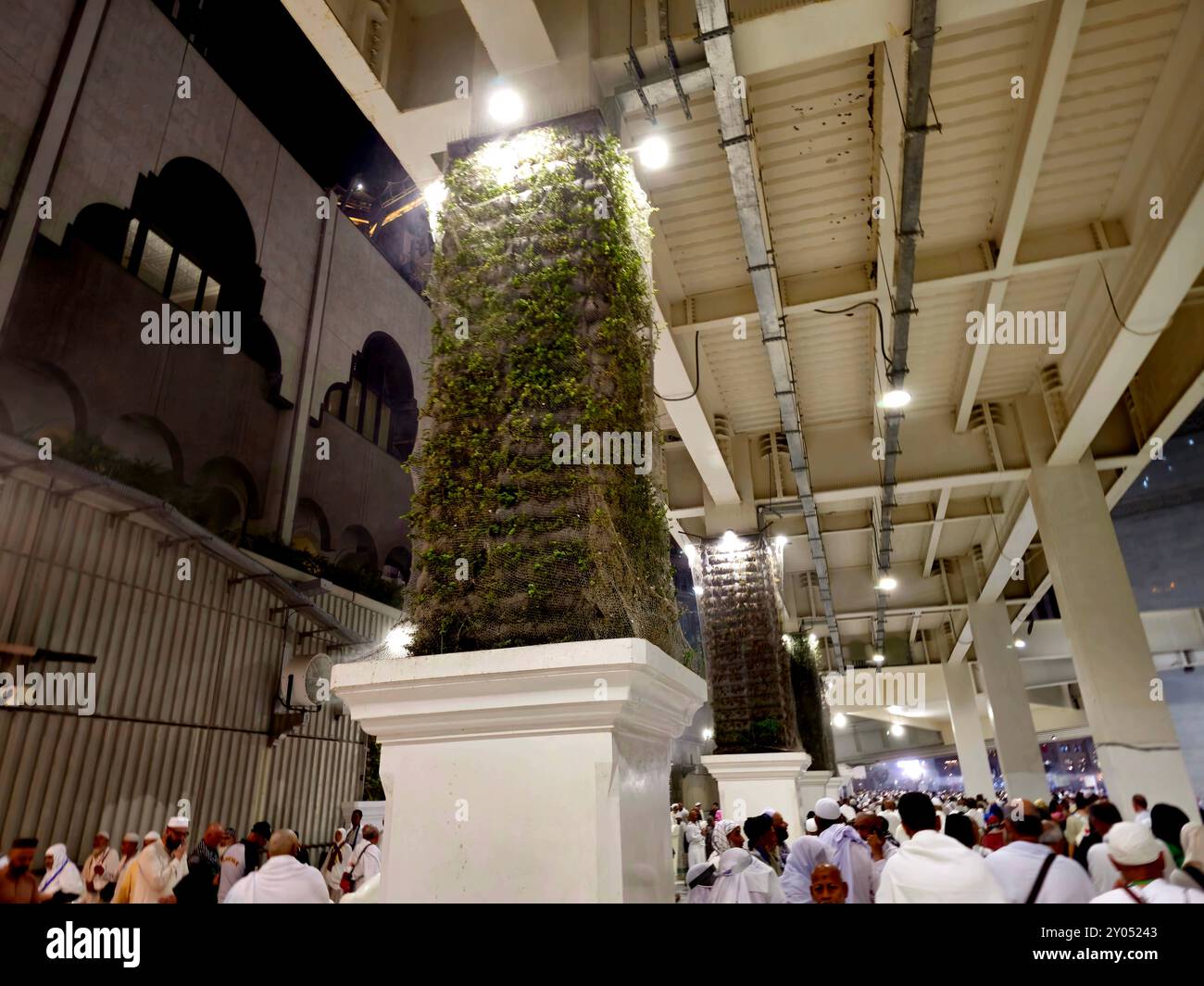 Mecca, Saudi Arabia, June 4 2024: plants on a column inside Al Masjid ...