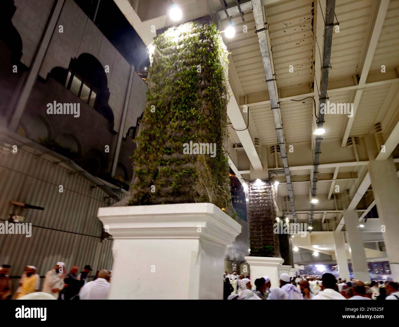 Mecca, Saudi Arabia, June 4 2024: plants on a column inside Al Masjid ...