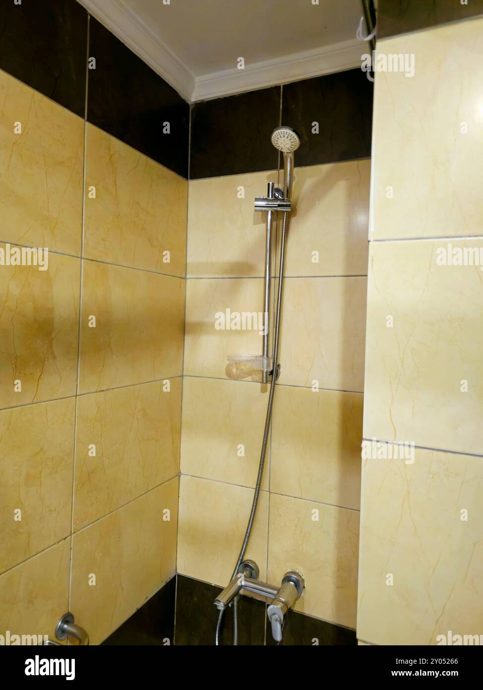 Douche shower water sprayer used in the bathroom for showering usually ...